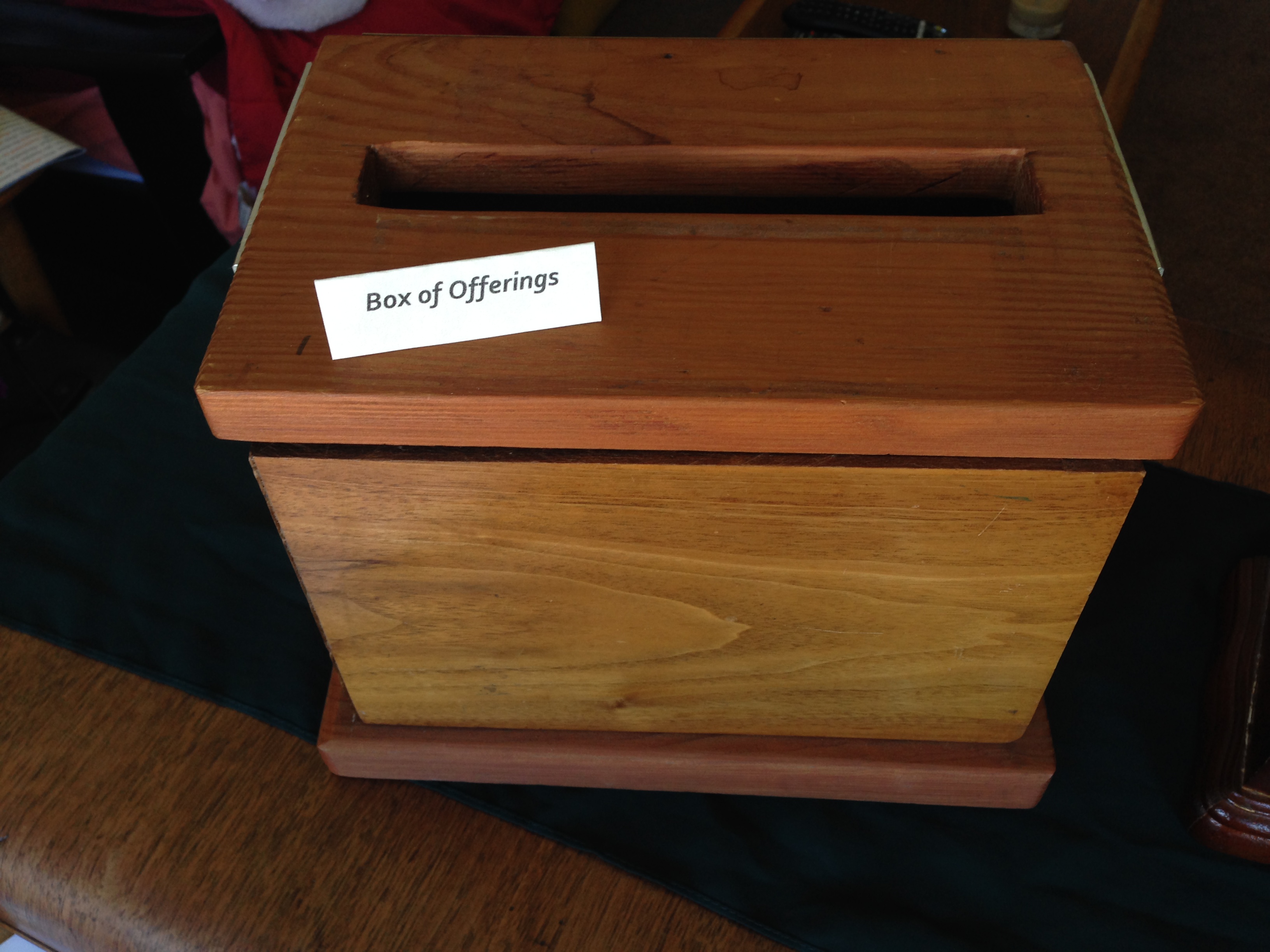 Harboring Darrell – Three-Part Installation – Tracy Jane Gregory